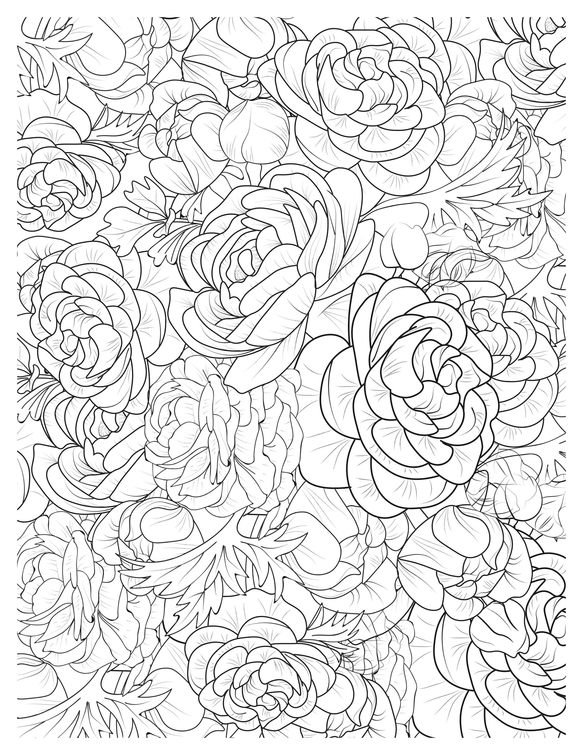 Blooming Rose Coloring Pages Collection I Garden Beauty