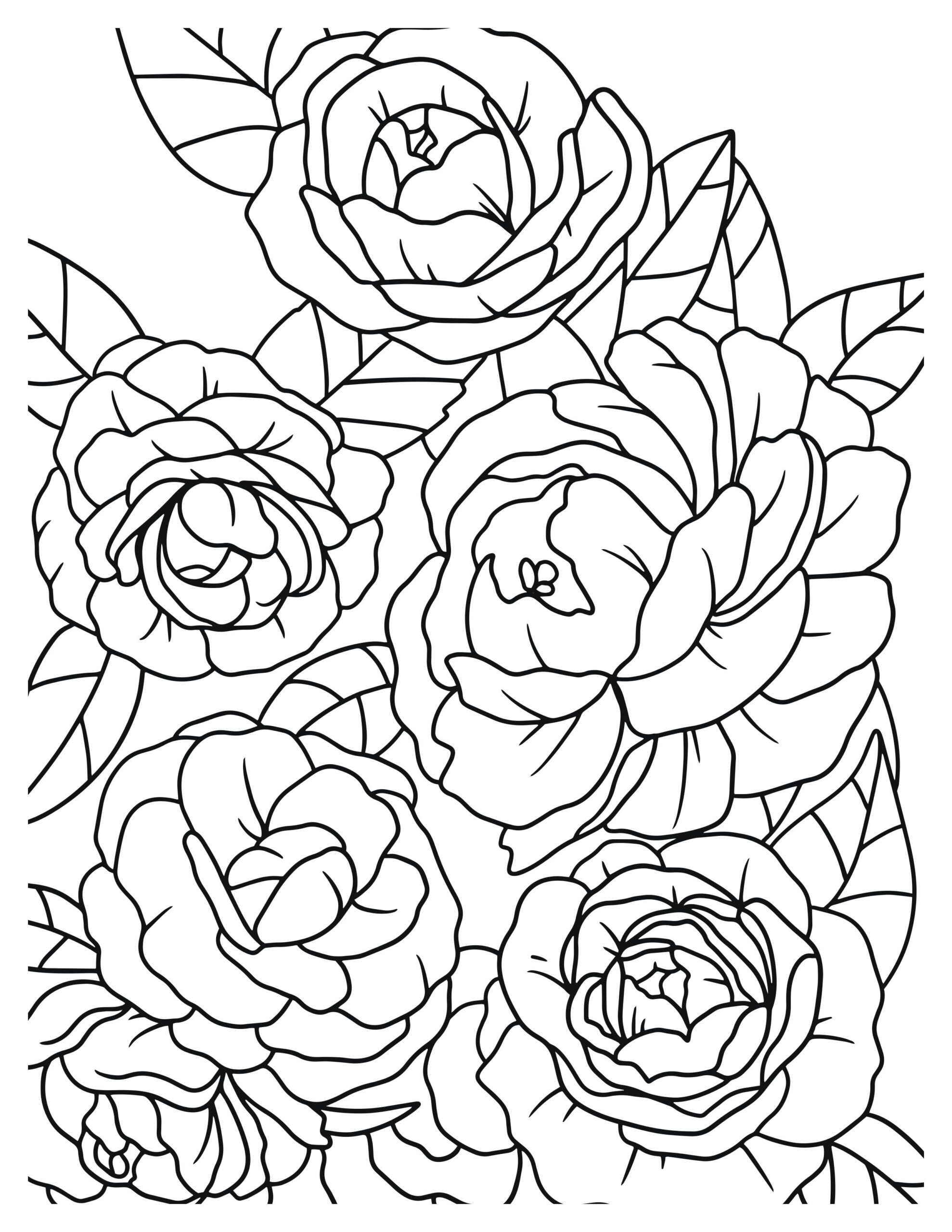 Blooming Rose Coloring Pages Collection I Garden Beauty