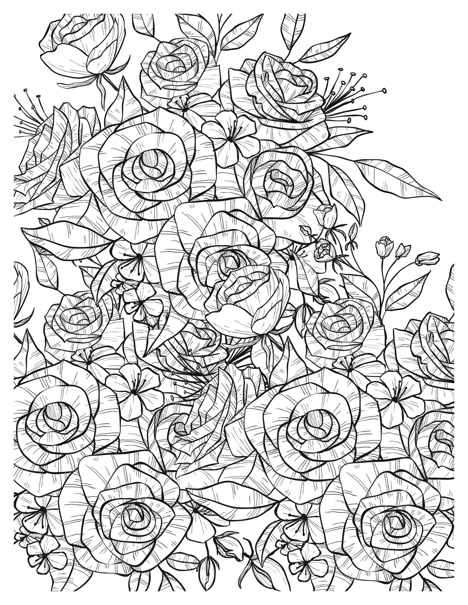 Blooming Rose Coloring Pages Collection I Garden Beauty