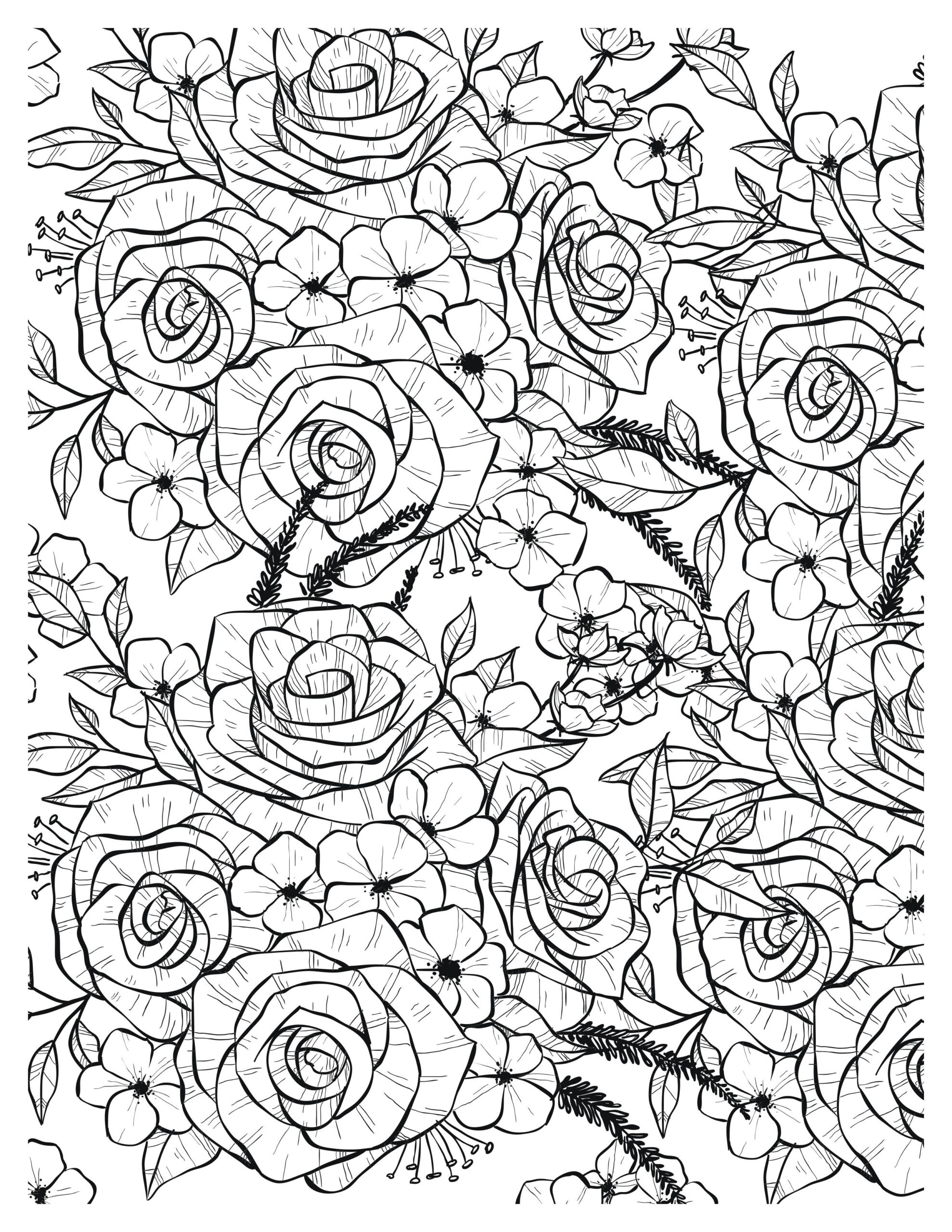 Blooming Rose Coloring Pages Collection I Garden Beauty
