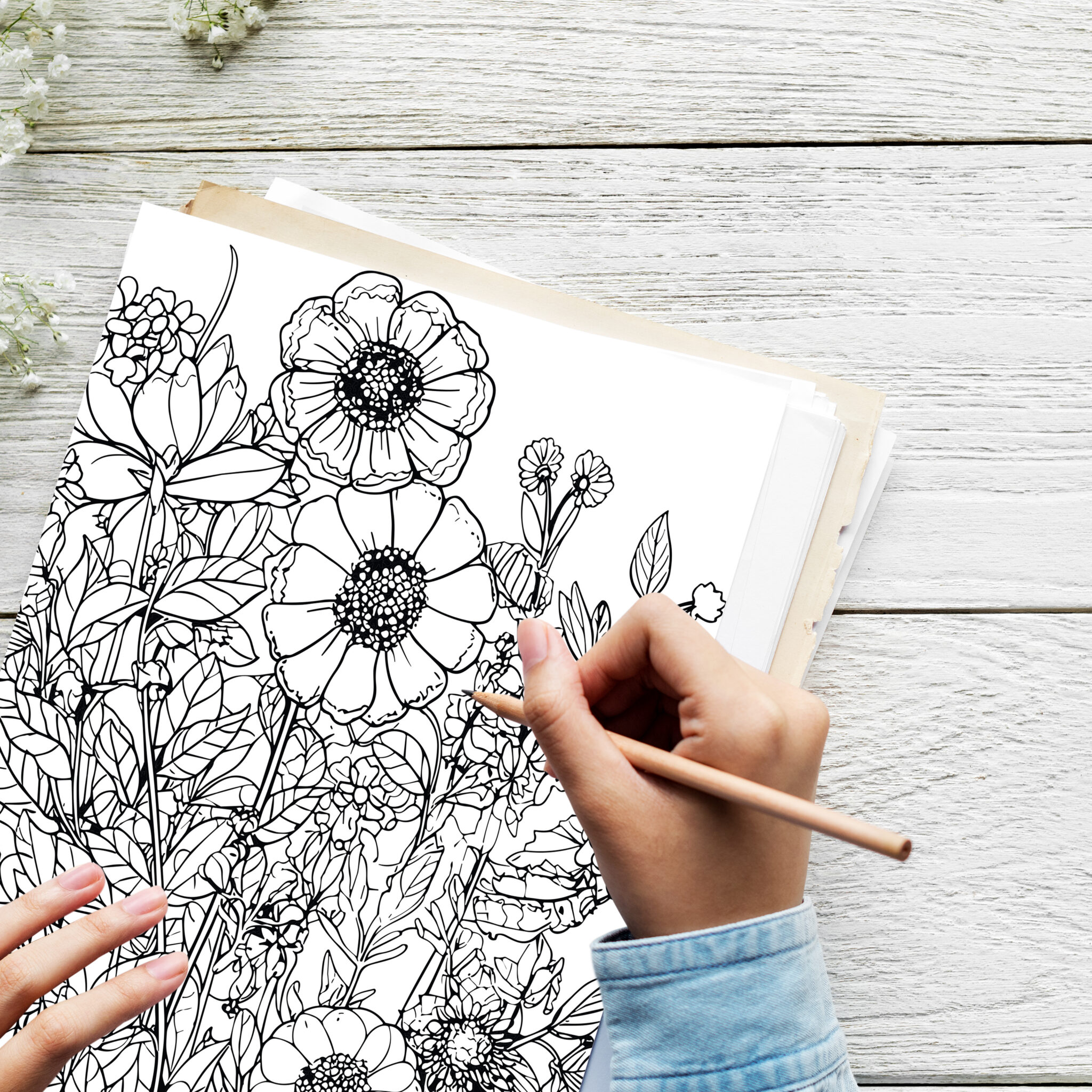 Wildflower Meadow Coloring Pages Collection I Meadow Magic