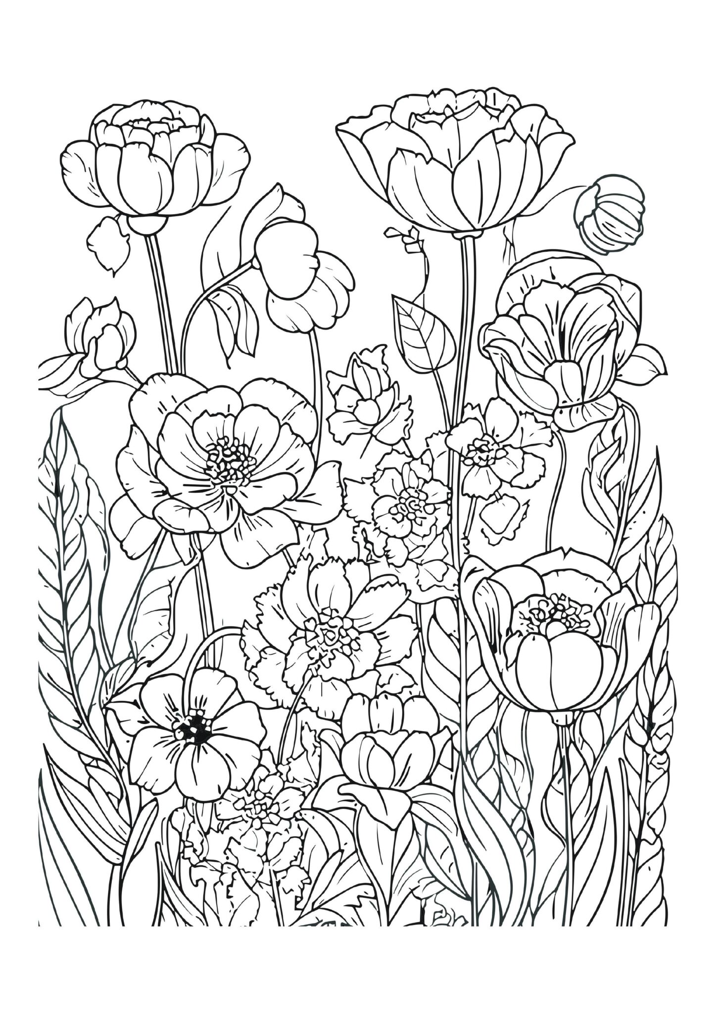 Wildflower Meadow Coloring Pages Collection I Meadow Magic