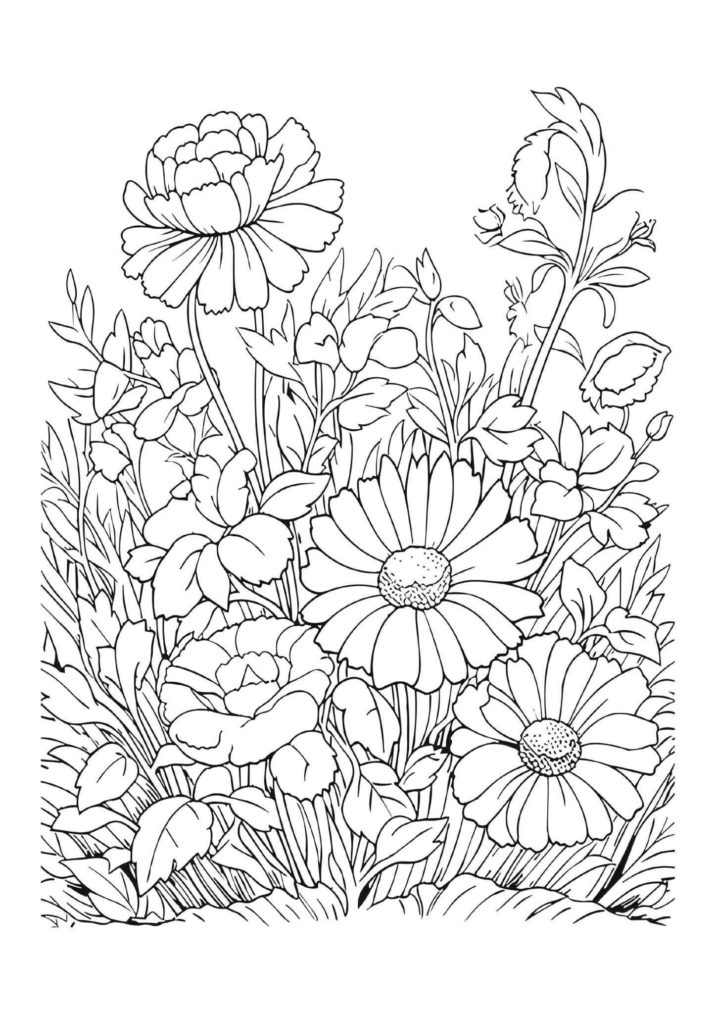 Wildflower Meadow Coloring Pages Collection I Meadow Magic