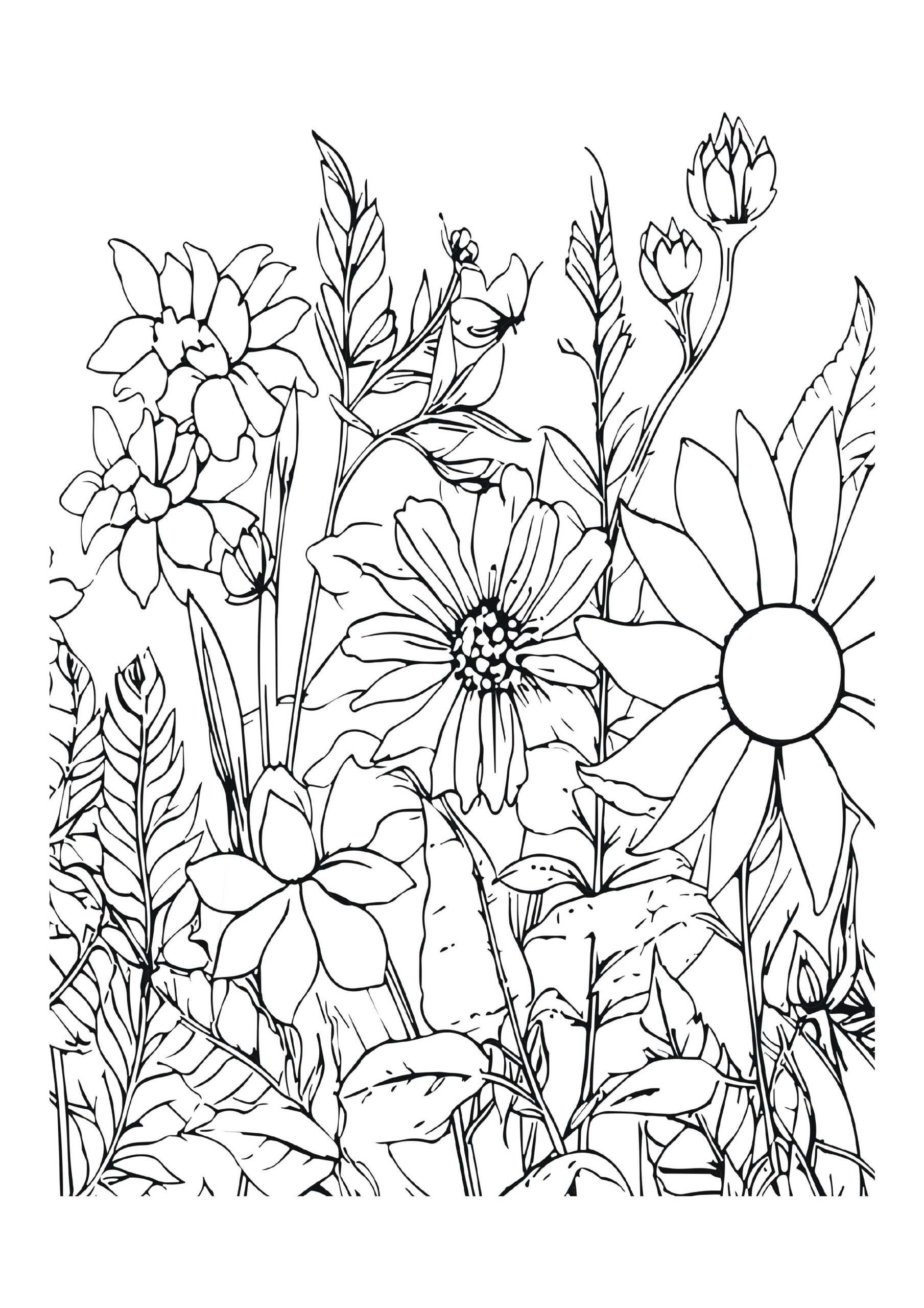 Wildflower Meadow Coloring Pages Collection I Meadow Magic