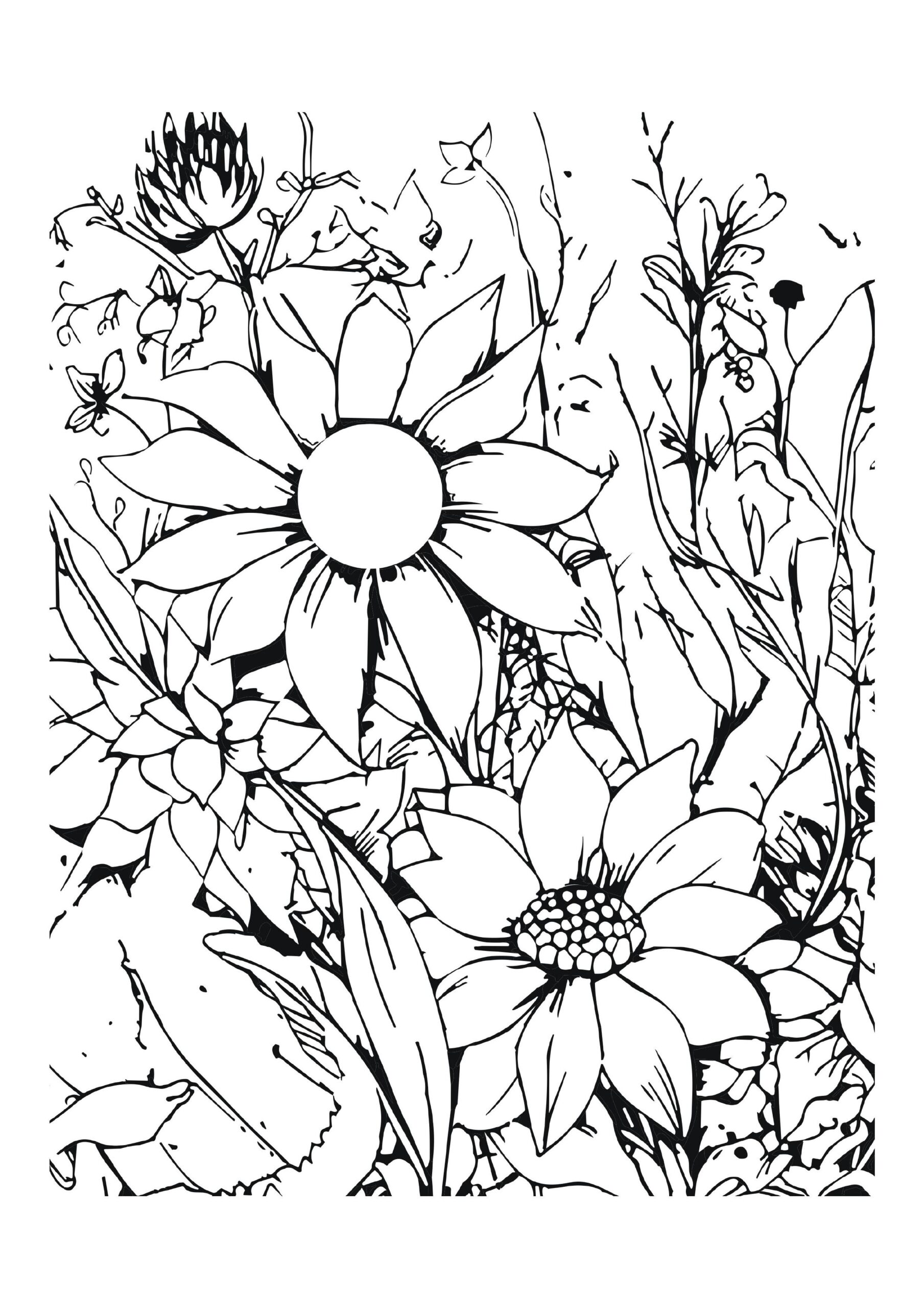 Wildflower Meadow Coloring Pages Collection I Meadow Magic
