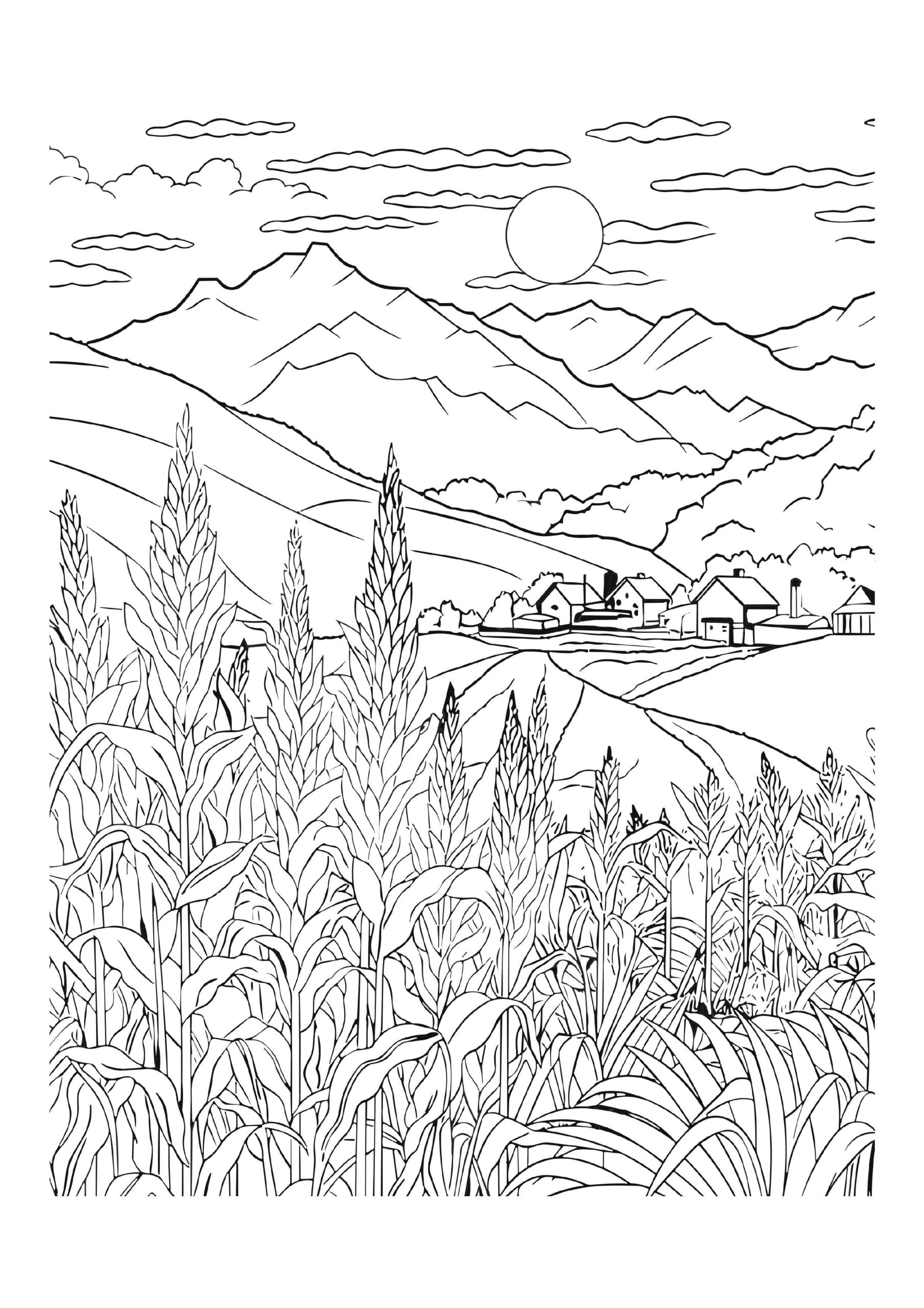 Wildflower Meadow Coloring Pages Collection I Meadow Magic