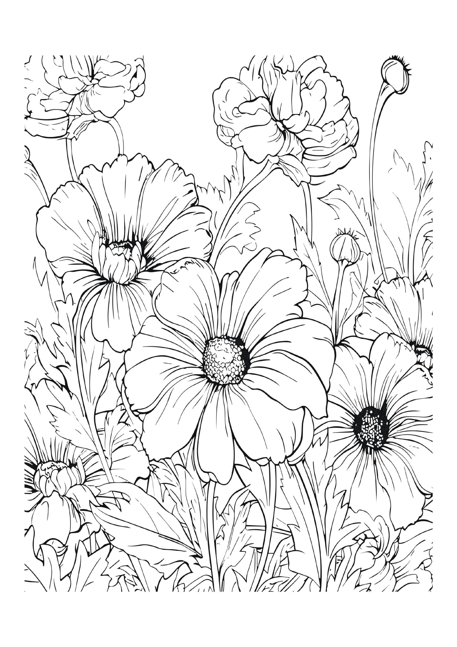 Wildflower Meadow Coloring Pages Collection I Meadow Magic