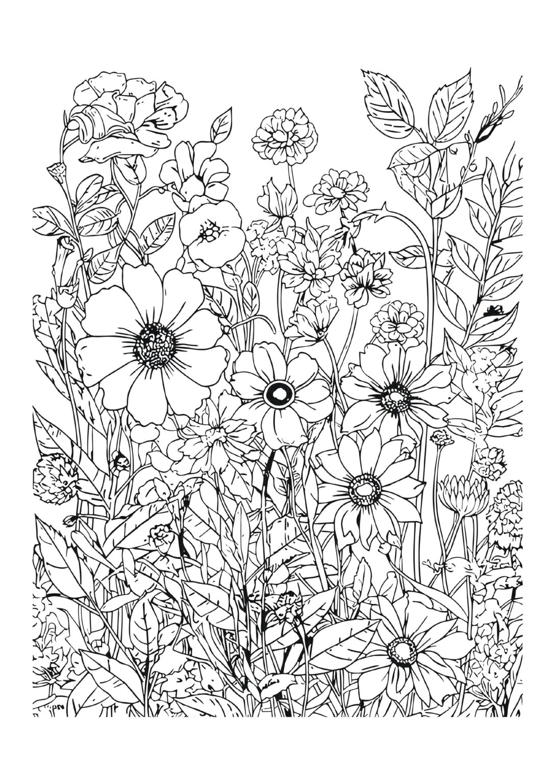 Wildflower Meadow Coloring Pages Collection I Meadow Magic