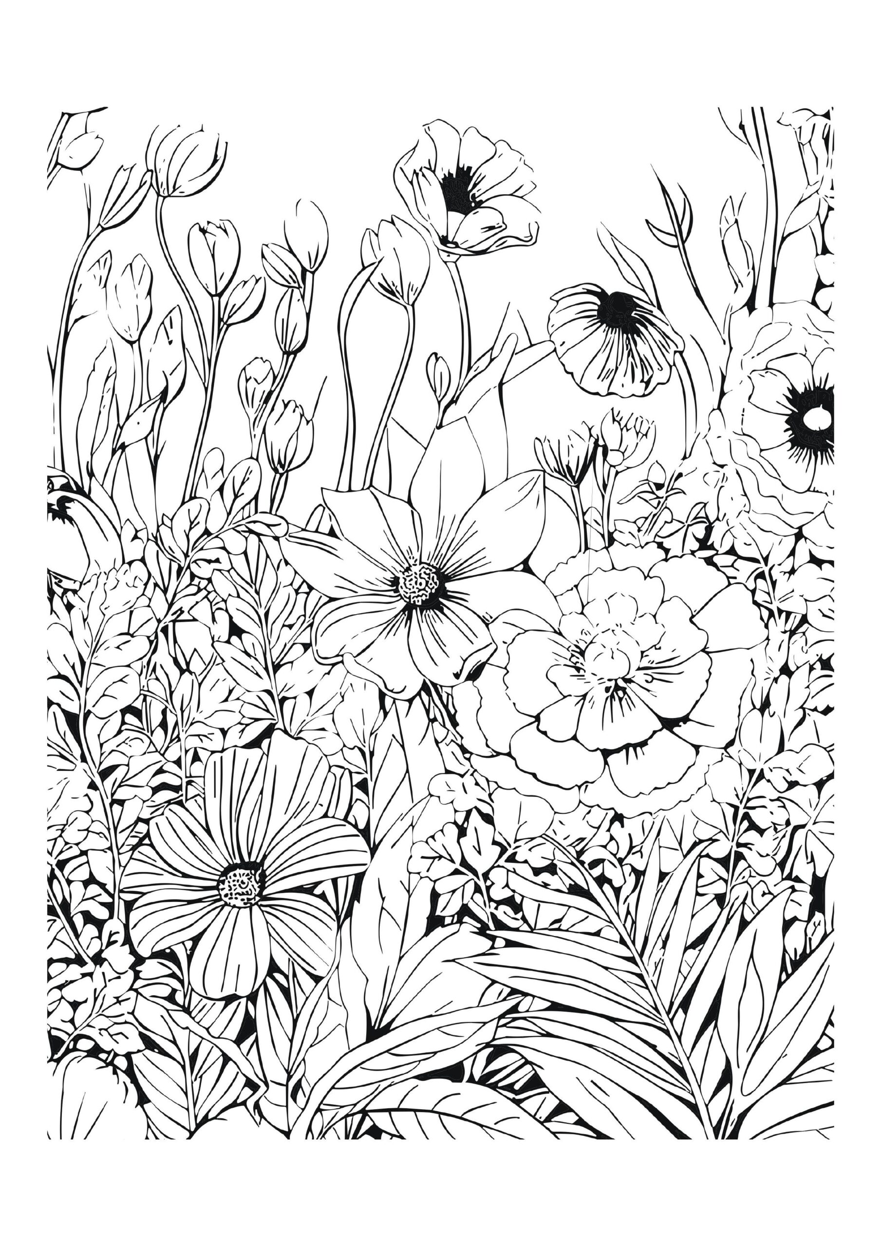 Wildflower Meadow Coloring Pages Collection I Meadow Magic