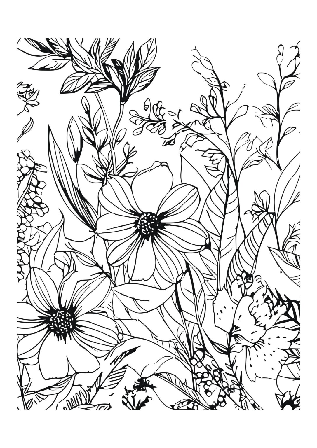 Wildflower Meadow Coloring Pages Collection I Meadow Magic