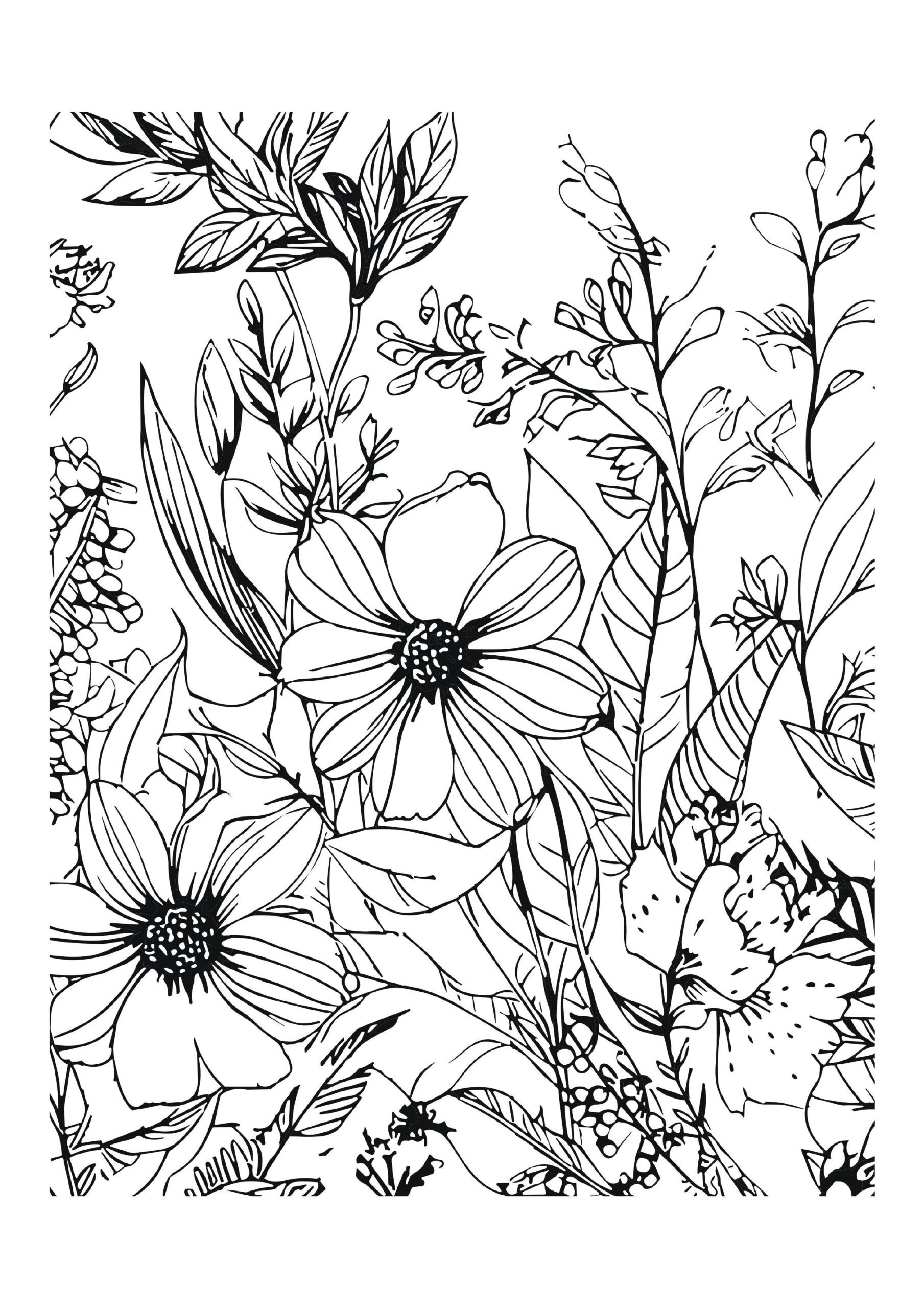 Wildflower Meadow Coloring Pages Collection I Meadow Magic
