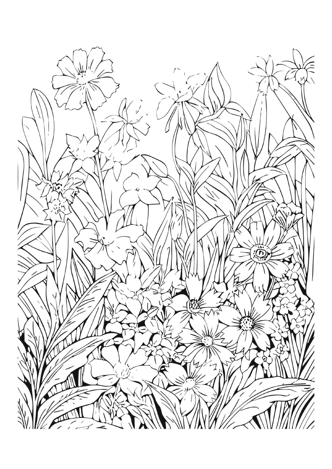 Wildflower Meadow Coloring Pages Collection I Meadow Magic