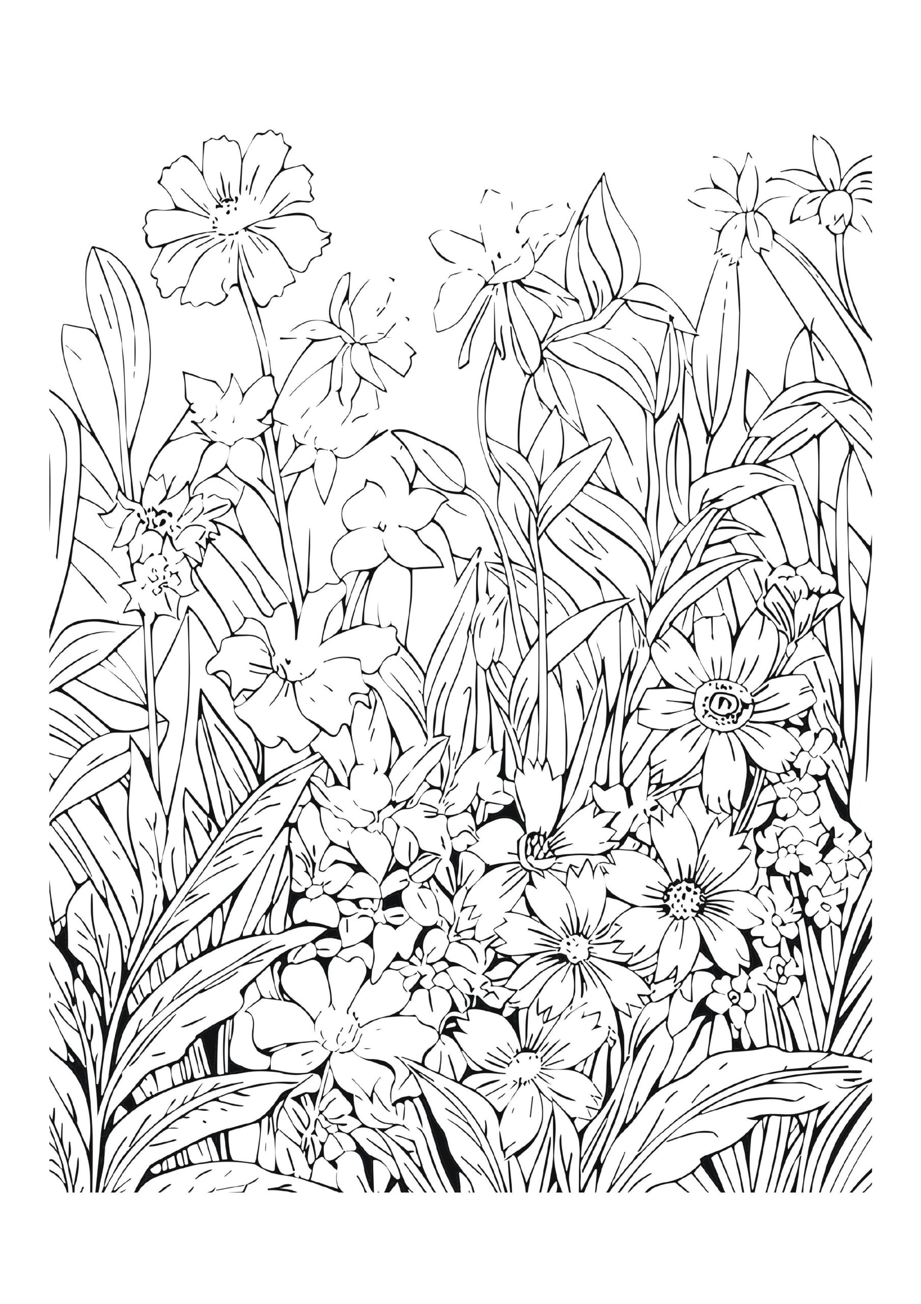 Wildflower Meadow Coloring Pages Collection I Meadow Magic