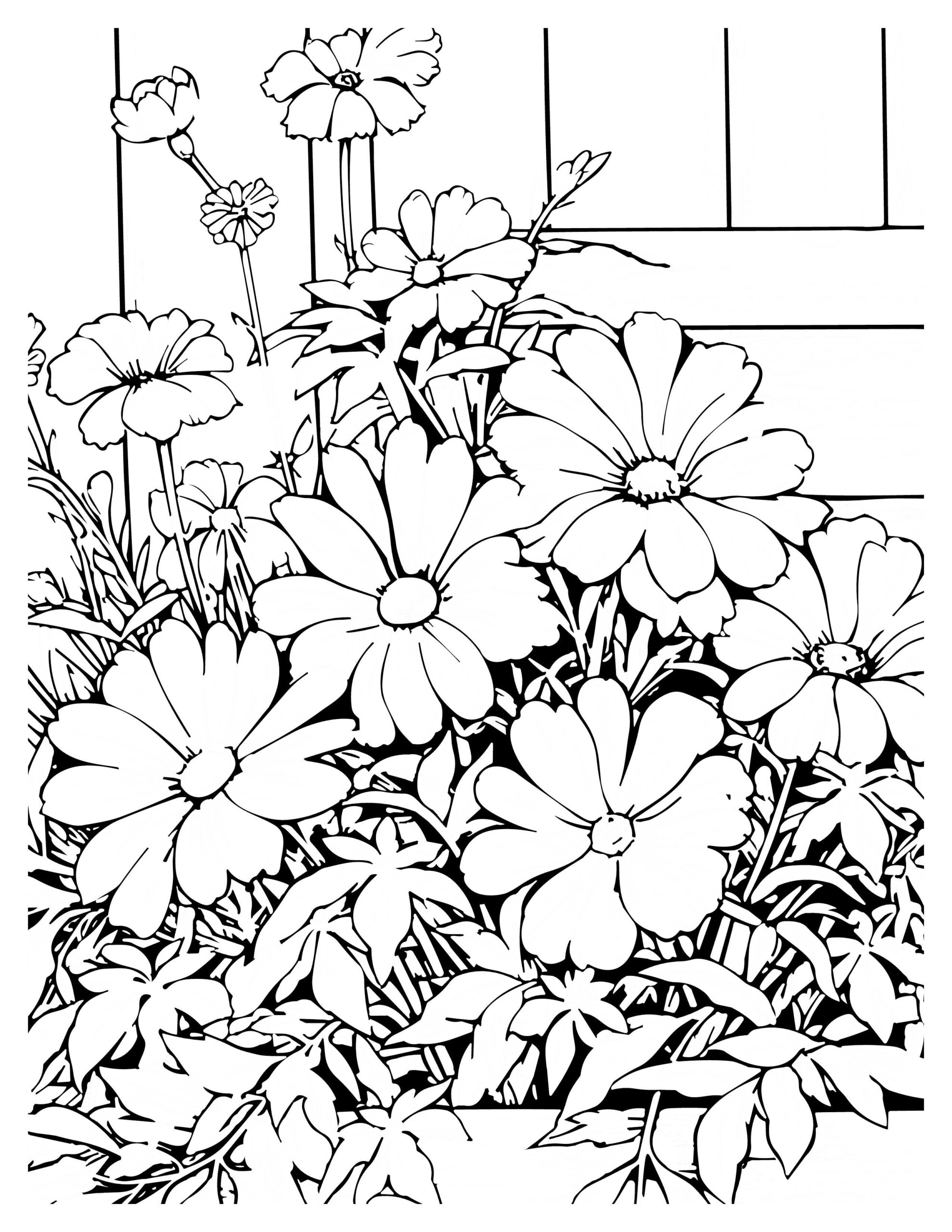 Garden Flower Coloring Pages Collection I Blooming Beauties