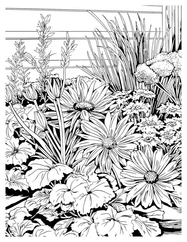 Garden Flower Coloring Pages Collection I Blooming Beauties
