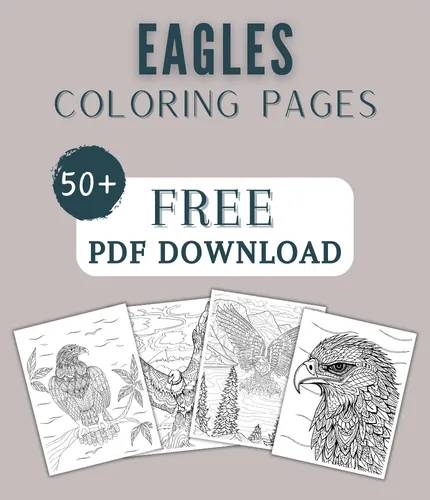 Eagles Coloring Pages | Fun And Educational Designs