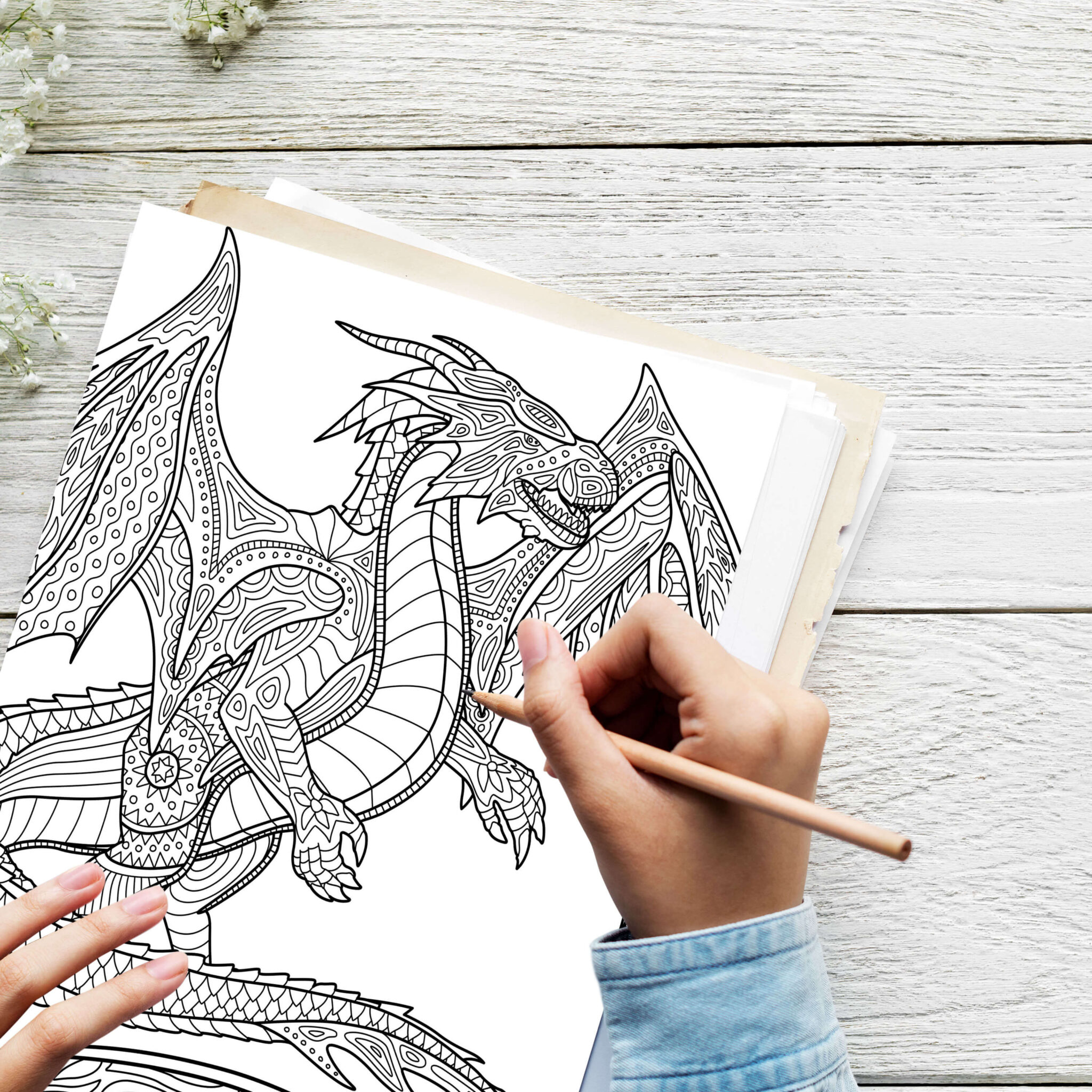 Enthralling Dragons & Knights Coloring Pages Free Printable