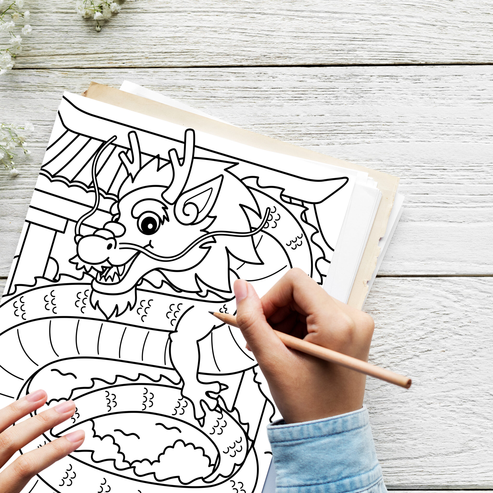 Mythical Dragons Coloring Pages Unleash Your Creativity