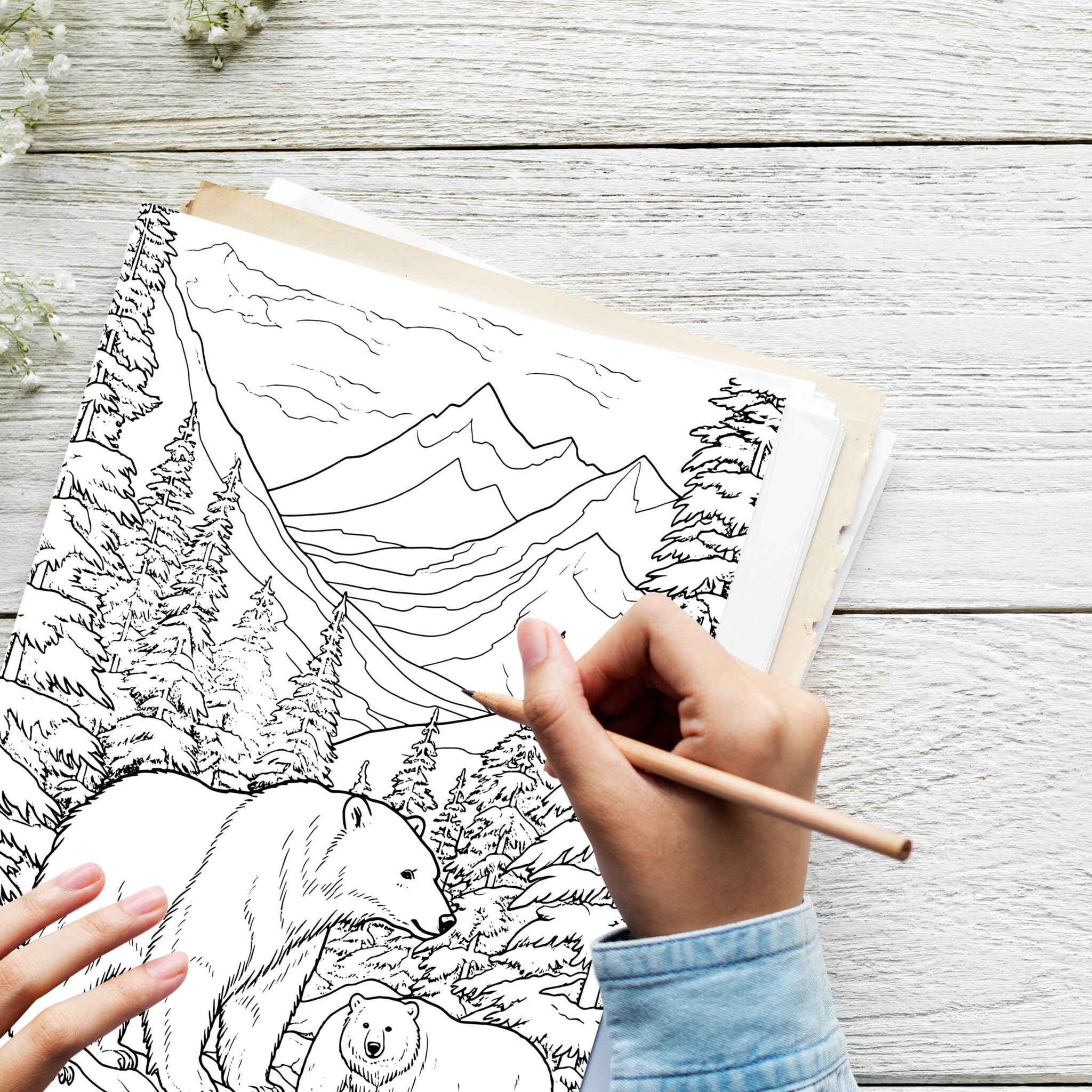 Stunning National Parks Coloring Pages Explore Nature’s Beauty