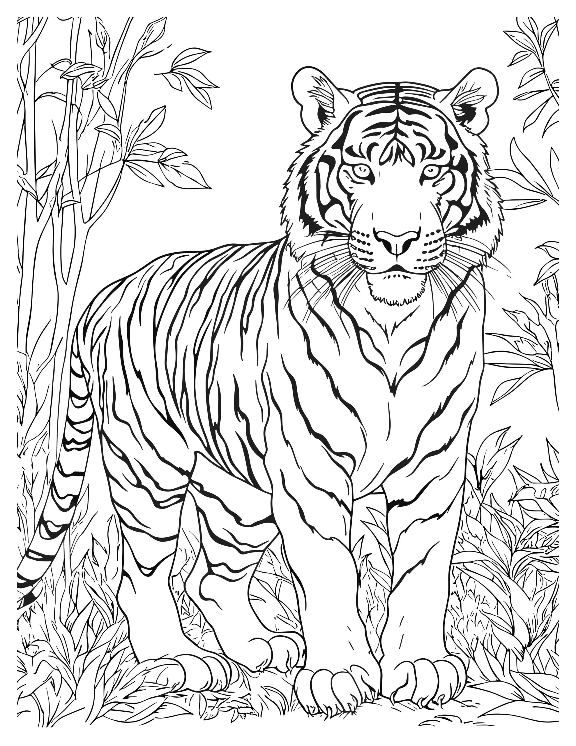 Majestic Tiger Coloring Pages Free and Fun