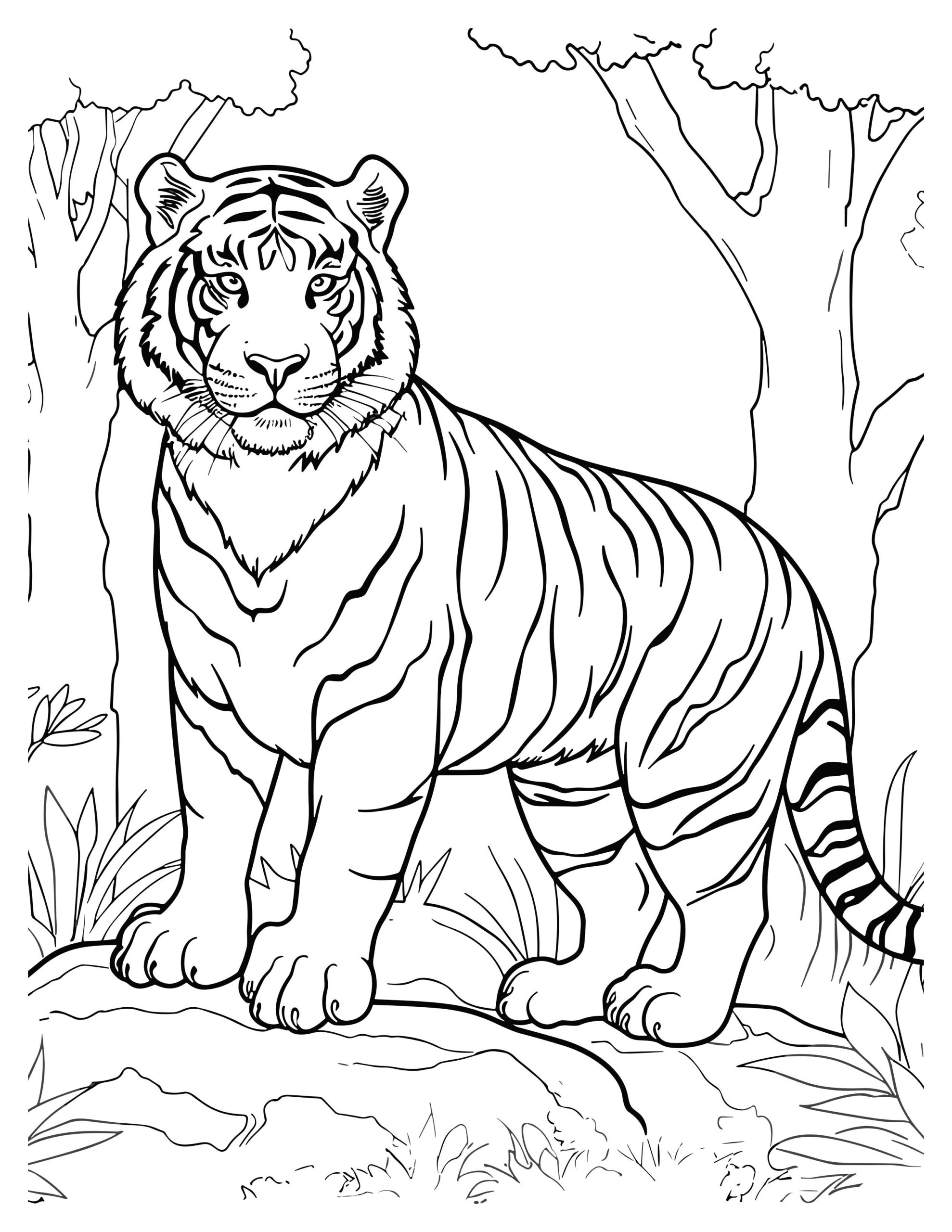 Majestic Tiger Coloring Pages Free and Fun