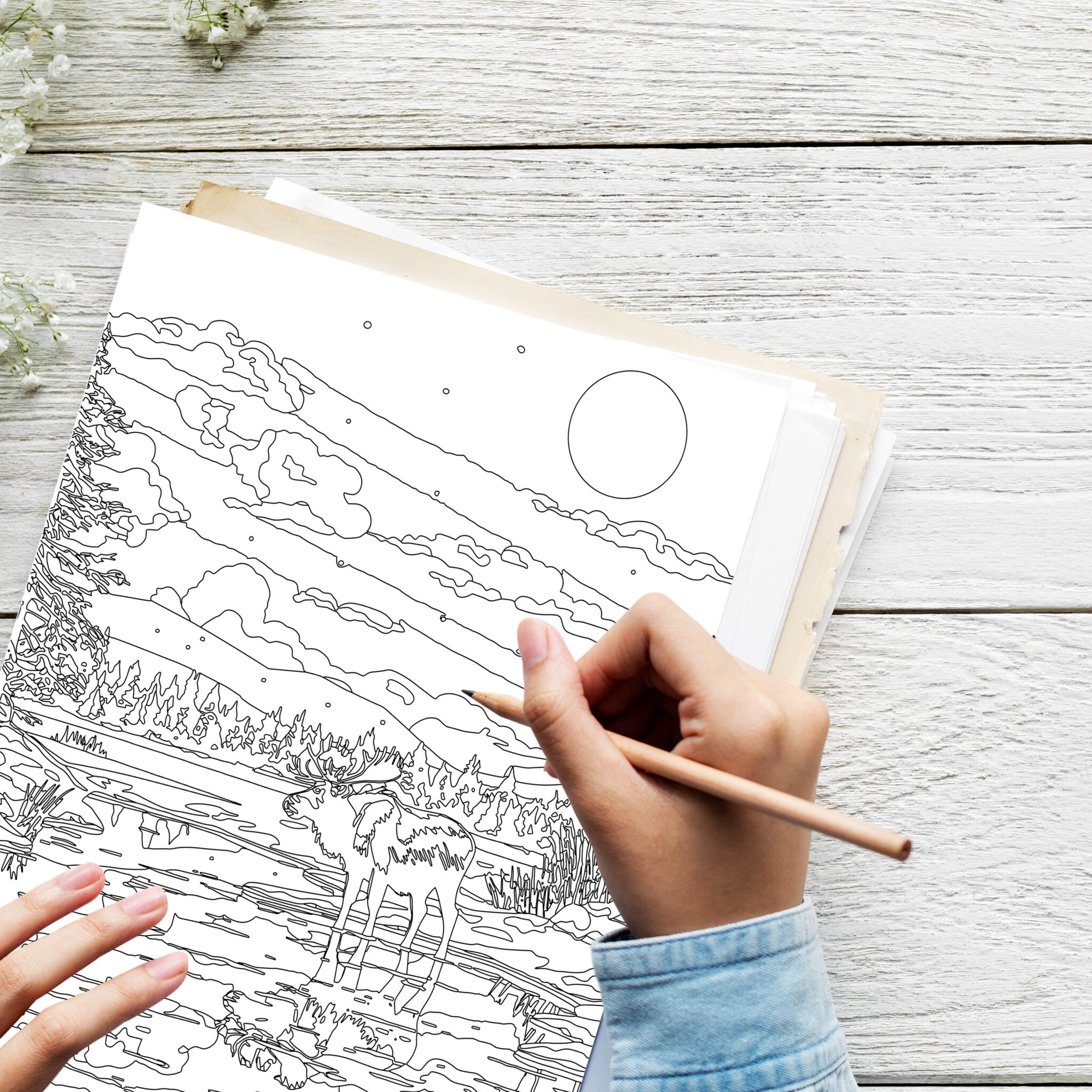 Majestic Alaska Coloring Pages Nature’s Beauty