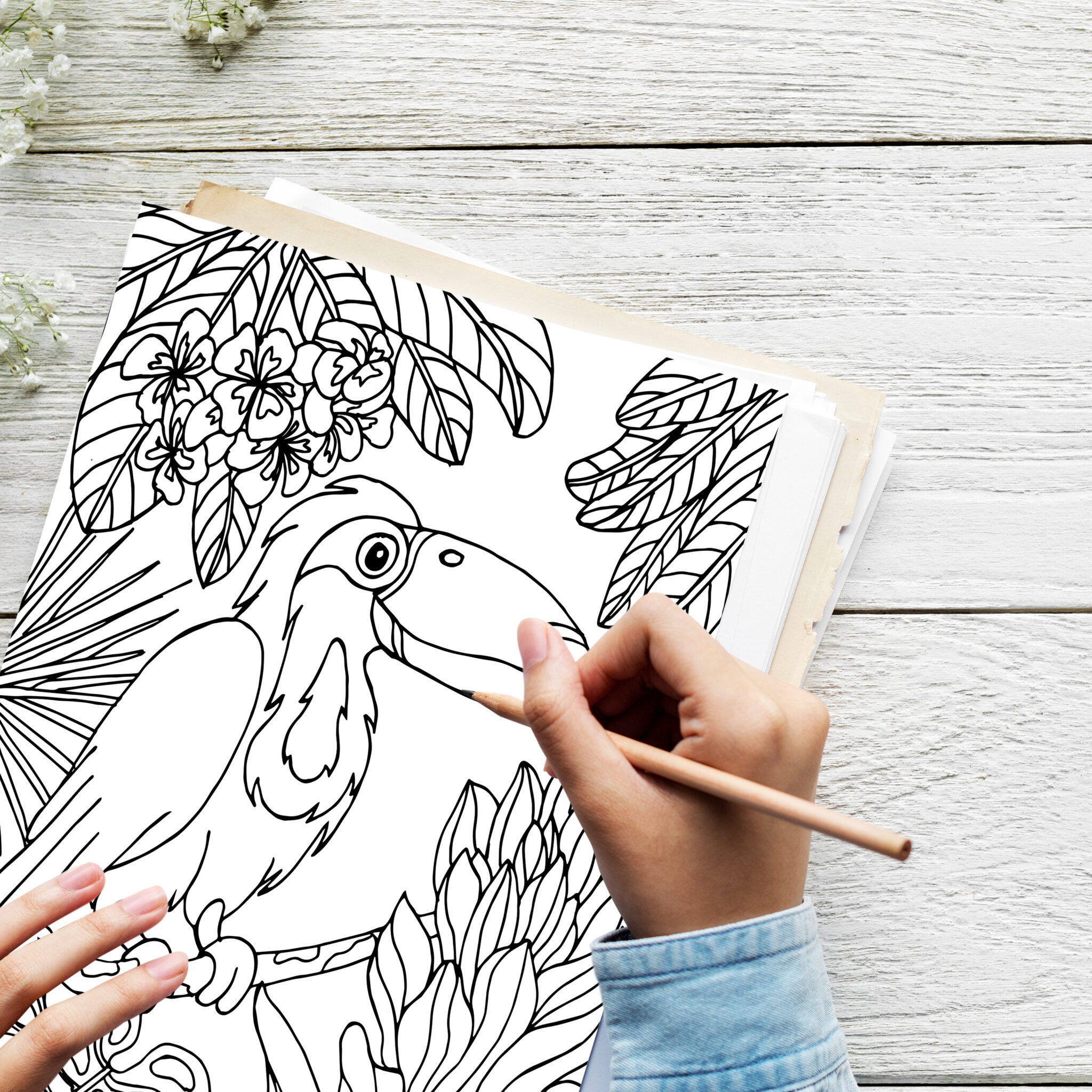 Vibrant Florida Coloring Pages Fun and Creative