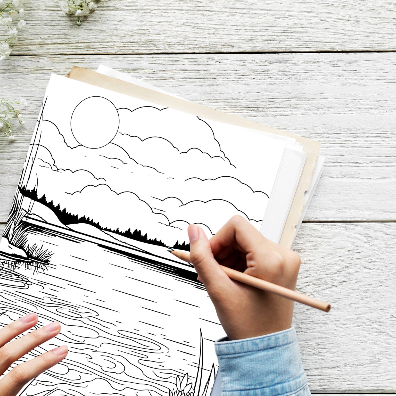 Minnesota Coloring Pages Beautiful Designs