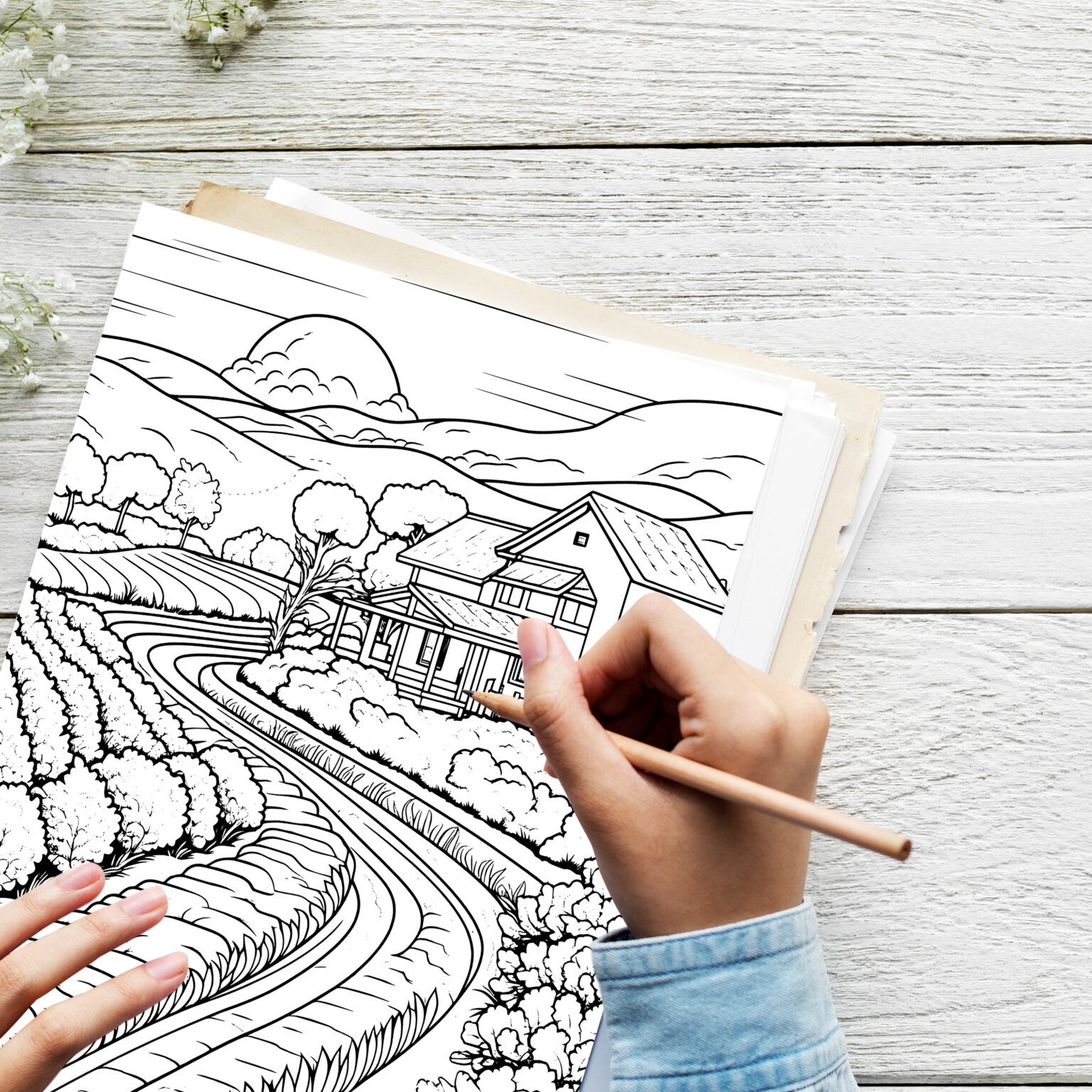 North Dakota Coloring Pages Explore and Color