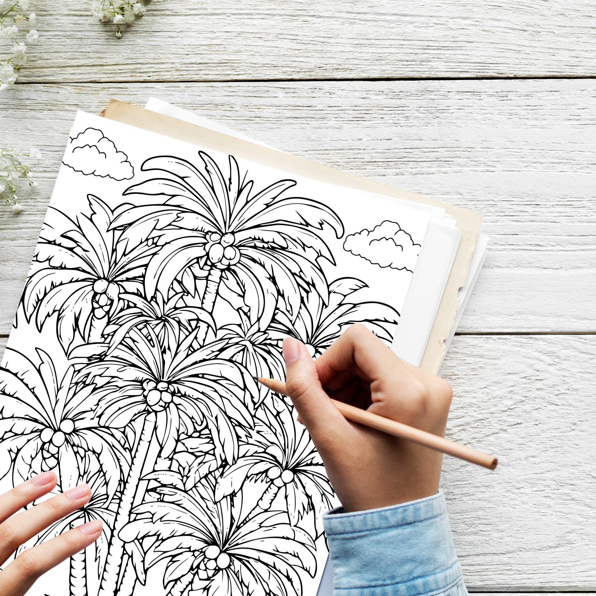 South Carolina Coloring Pages Colorful and Free